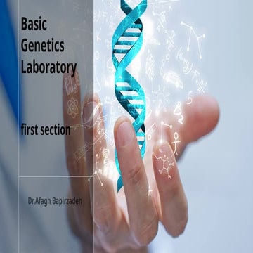 first section basic genetics laboratory.pptx | Reproductive Health ...