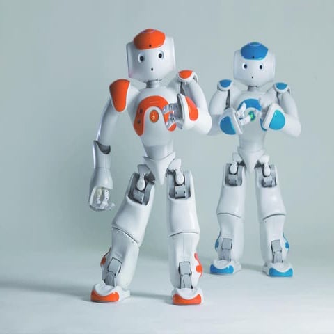 First step robotics | PDF