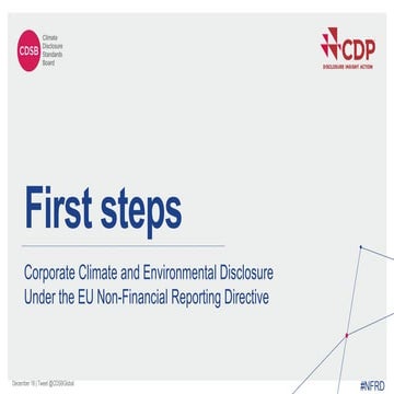 Corporate climate & environmental disclosure under the EU Non-Financial ...