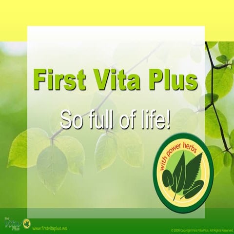 First Vita Plus Logo