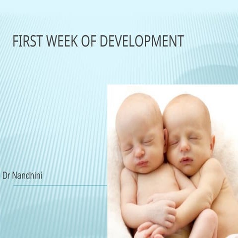 first week of development embryology.pptx