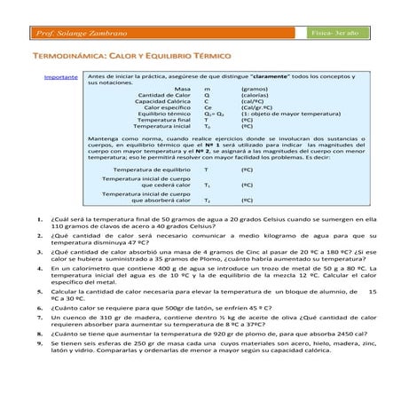 Problemas resueltos de equilibrio térmico | PDF