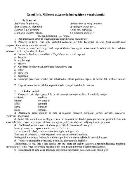 Fisa gen liric | PDF