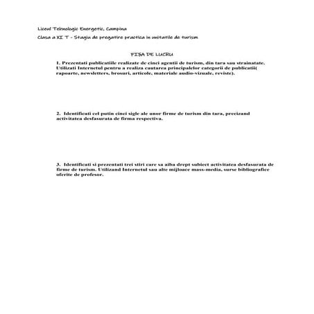 fisa de lucru - stagiu de pregatire practica | DOCX