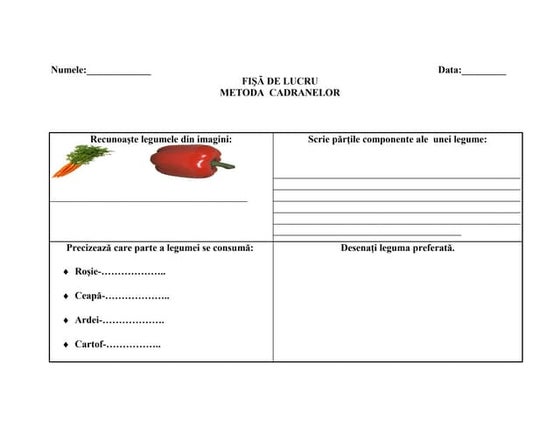 Fisa gen liric | DOC