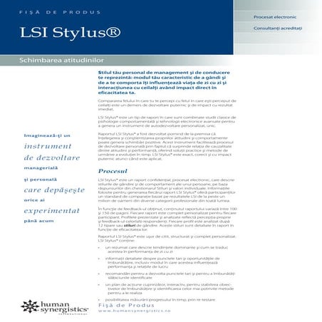LSI Stylus - Stiluri si valori individuale | PDF