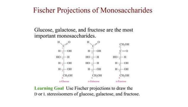 Xylitol Fischer Projection