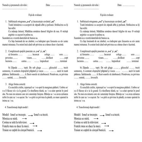 6654510 fise-limba-romana-clasa-i | PDF