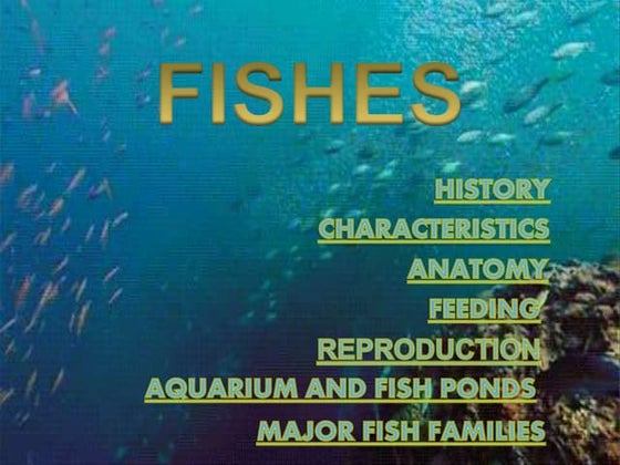 Internal parts of a fish and their functions | PPTX