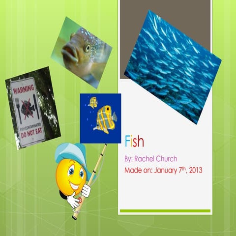 Fish | PPT