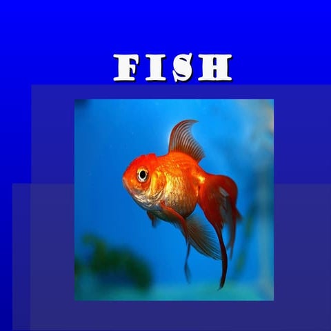 Fish | PPT