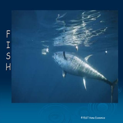 Fish | PPT