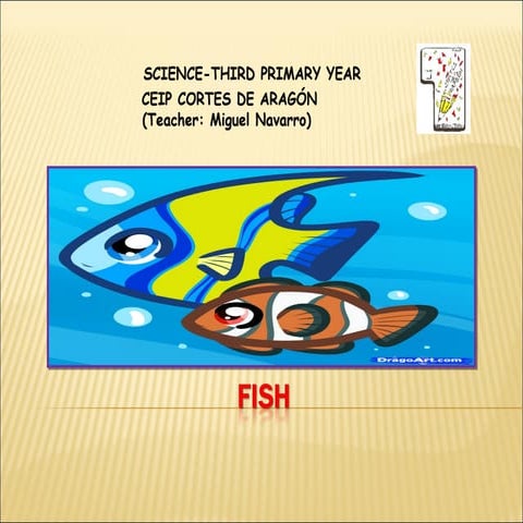 Fish | PPT