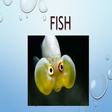 Fish | PPTX