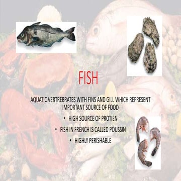 Fish | PPTX | Fish and Aquariums | Pets