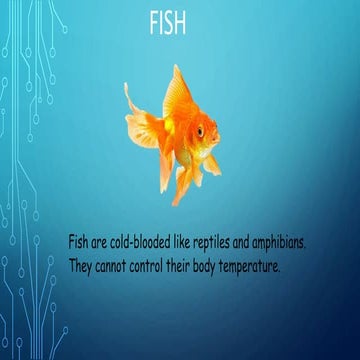 fish.pptx
