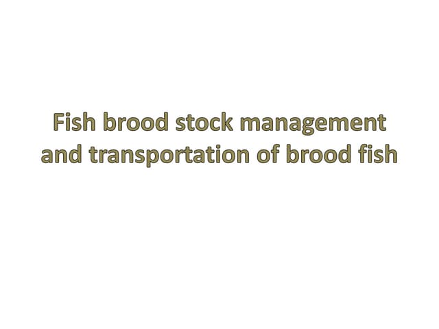 Broodstock management for carp seed production ppt | PPTX