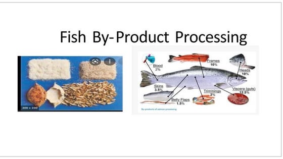 Fish By-products | PPTX