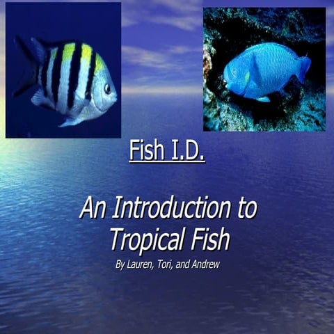 Fish I | PPT | Fish and Aquariums | Pets