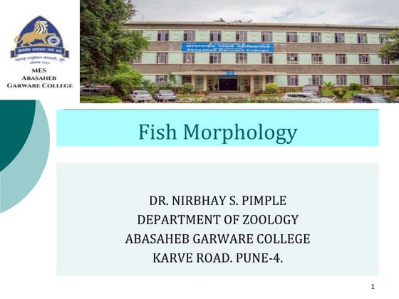 Fish morphology powerpoint | PPT