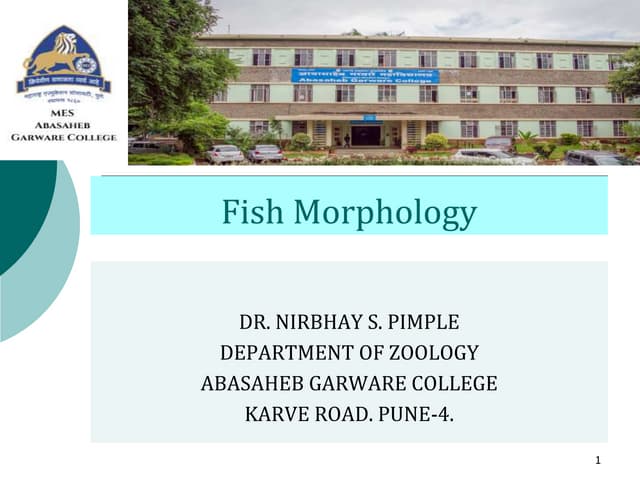 Fish morphology powerpoint | PPT