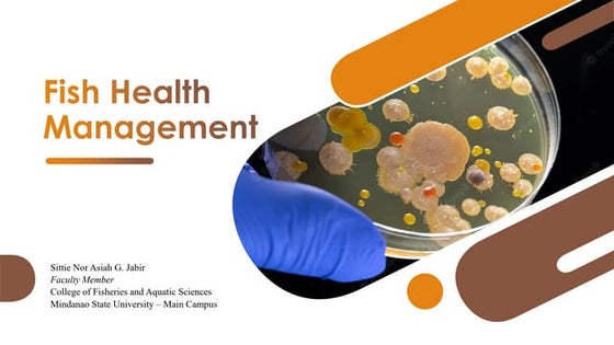 Fish Health Management | PDF | Infectious Diseases | Diseases and ...