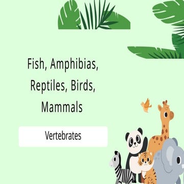 Fish, Amphibias, Reptiles, Mammals, Birds.pptx