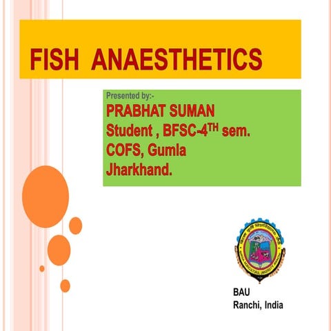 Fish anaesthetics . | PPTX