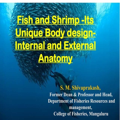 Notes on prawn | PPTX