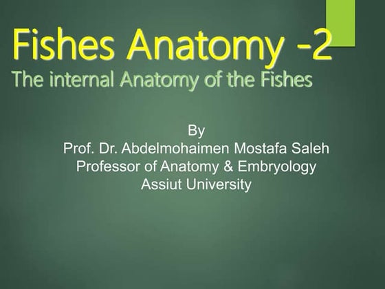 Anatomy of External Organs of the Fishes | PPTX