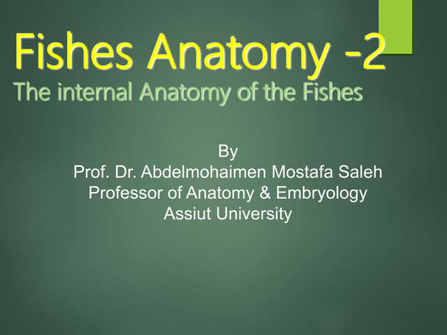 TLE 8 Chapter 2 Lesson 1 | PPTX