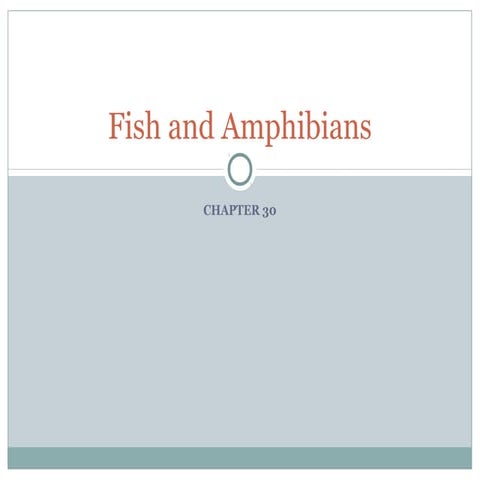 Fish and amphibians notes | PPT