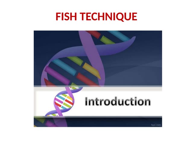Fluorescent in situ hybridization (FISH) | PPTX