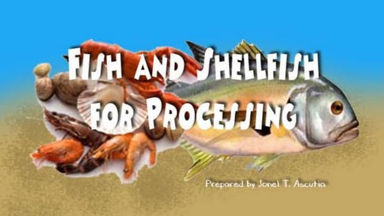 Filleting the Fish | PPTX | Fish and Aquariums | Pets