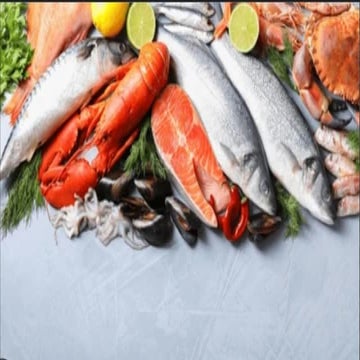 FINFISH (VERTEBRATES) AND SHELLFISH (INVERTEBRATES) | PPTX