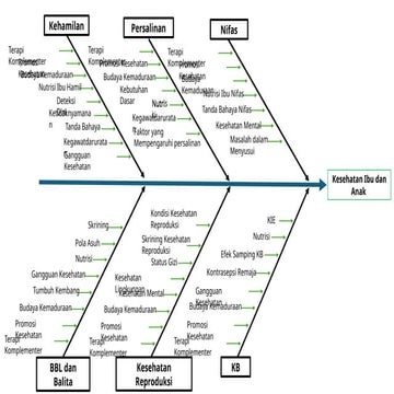 Fishbone dan Roadmap Prodi Kebidanan UIM.pptx