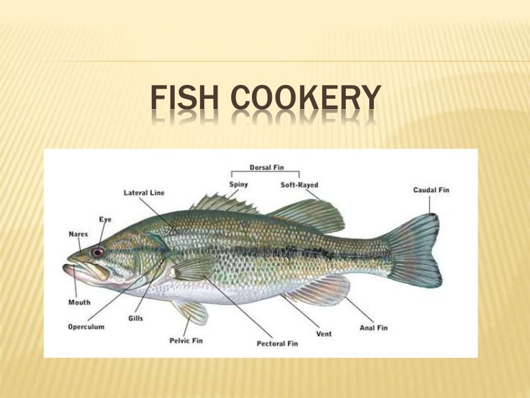 Fish cookery