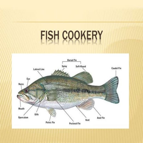 Fish cookery | PPTX