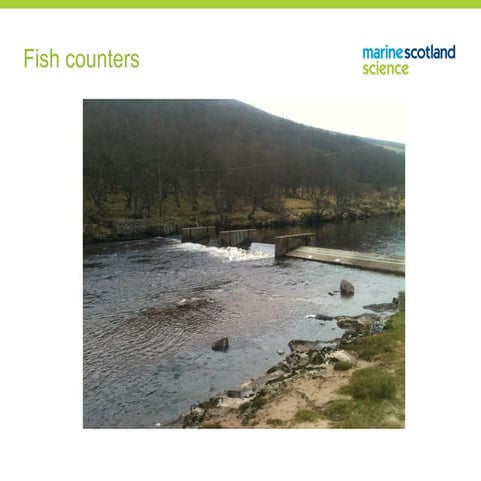 Fish Counters - John Armstrong, Marine Scotland Science | PPT