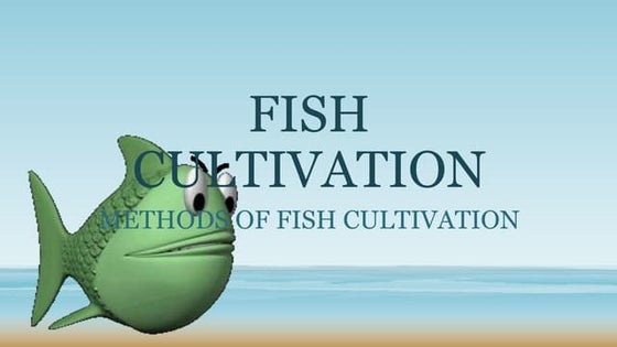 Phases of the fish culture | PPTX | Fish and Aquariums | Pets