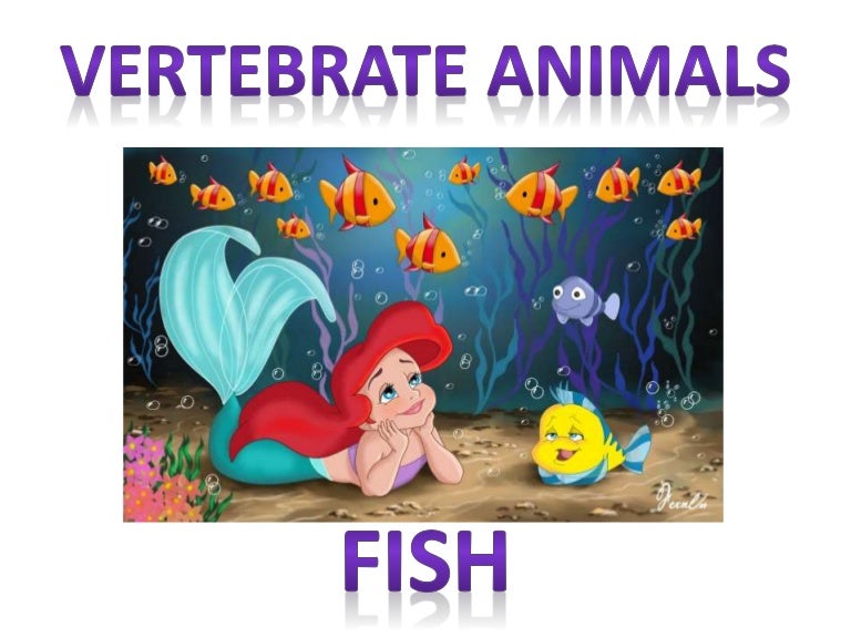 Fish disney