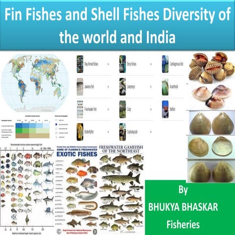 Fish diversity of the world and India | PDF