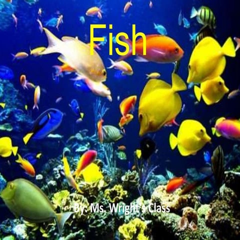 Fish Group | PPTX