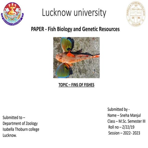 Anatomy of External Organs of the Fishes | PPTX