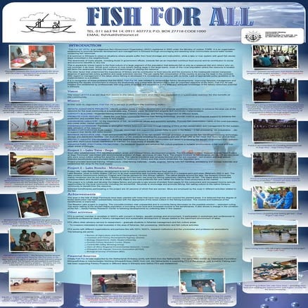 Fish For All | PDF