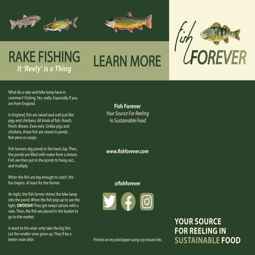Fish Forever Brochure | PPT