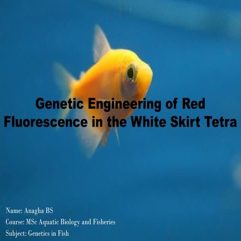 fish genetics, fish biology, trait, fish | PPTX