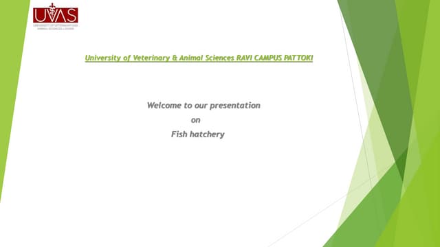 Fishs HATCHERY MANAGEMENT 1 LECTURE.pptx