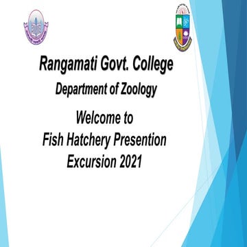 Fish hatchery Presentation template.pptx