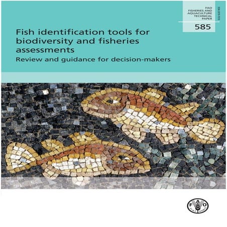 Fish identification tools manual cmfri | PDF